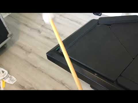 Alternate Mode Trapkat - Black | Reverb