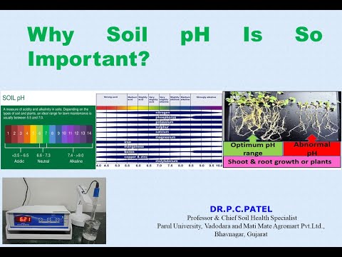 Why Soil pH Is So Important? By Dr. P. C. Patel
