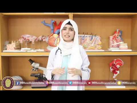 Fatima Student of DPT at BNBWU Sukkur