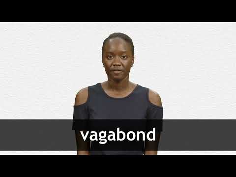 English Translation of “VAGABOND” | Collins French-English Dictionary