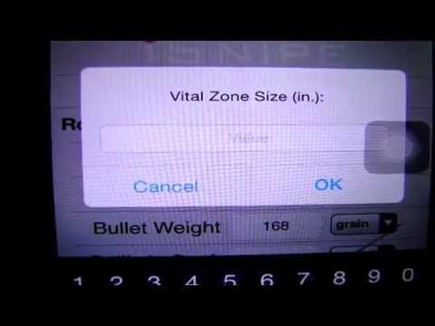 Zero Rifle at Point Blank Range