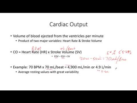 Cardiac Output Overview