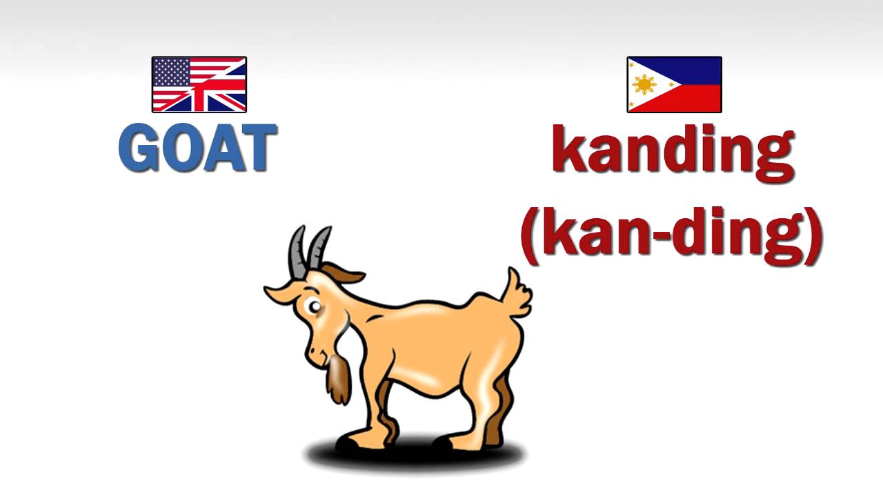 Learn Basic Pangasinan words and phrases - SF Pinoy Pangasinan language ...