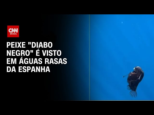 Peixe “diabo negro“ é visto pela primeira vez à luz do dia; veja vídeo ...