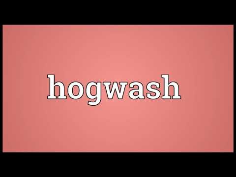 hogwash meaning in English