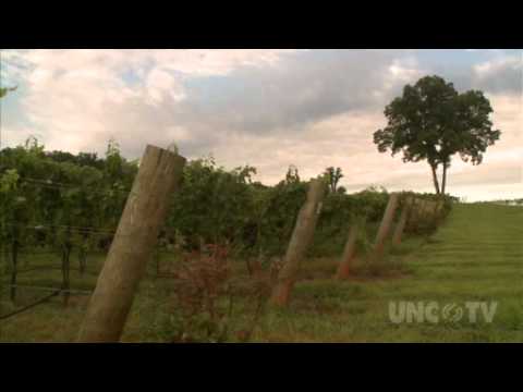 NC WEEKEND | Raffaldini Winery and Vineyards | UNC-TV