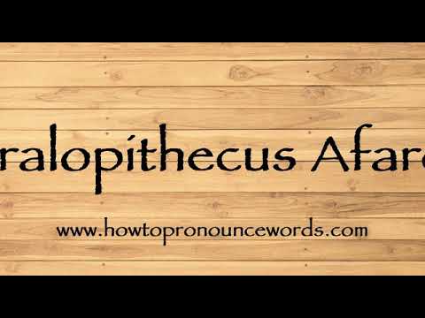 How To Pronounce Australopithecus Afarensis ? How To say Australopithecus Afarensis New Video
