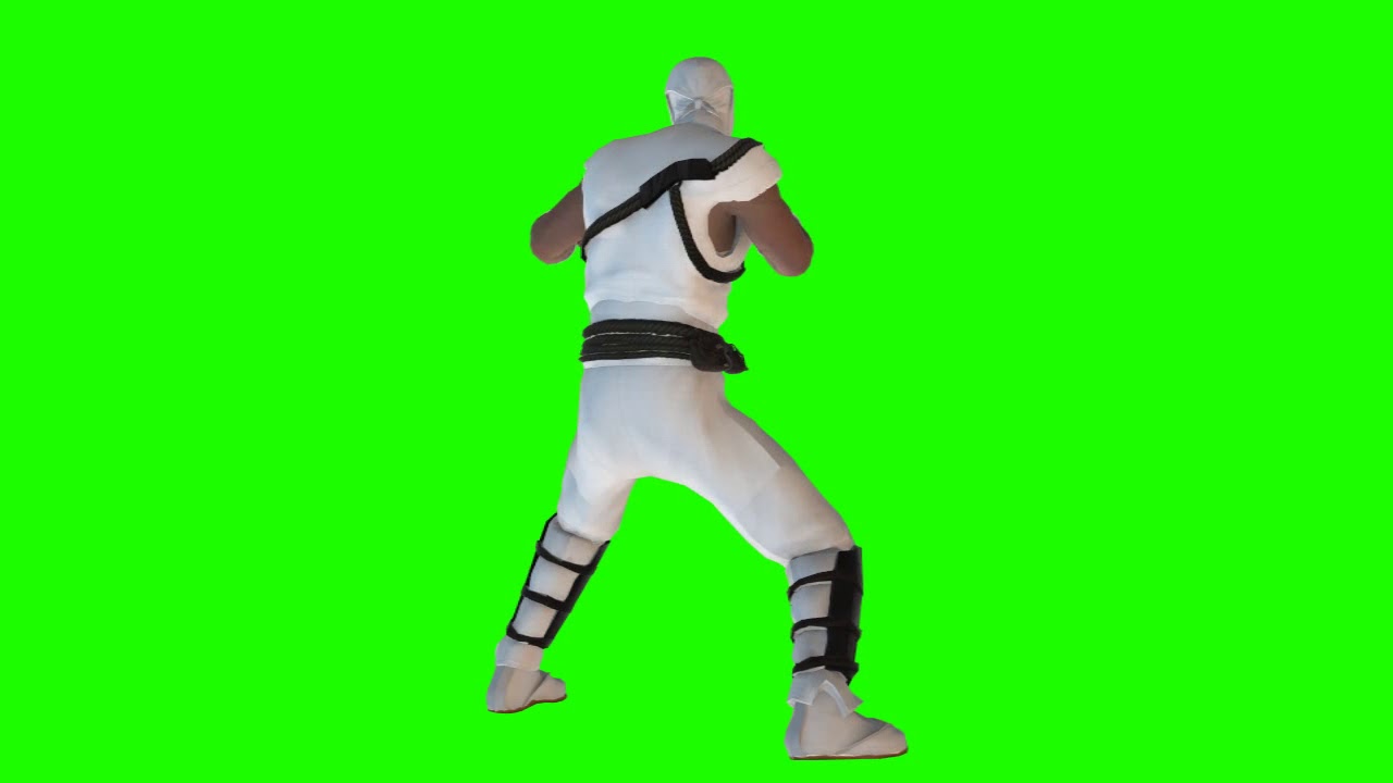 Storm Shadow idle animated back chroma