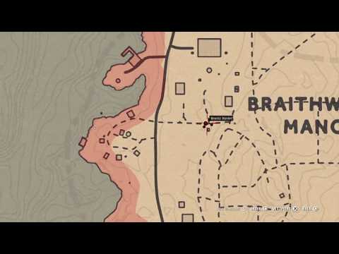Where To Find The Missing Braithwaite Daughters Location Red Dead Redemption 2 [Clip]