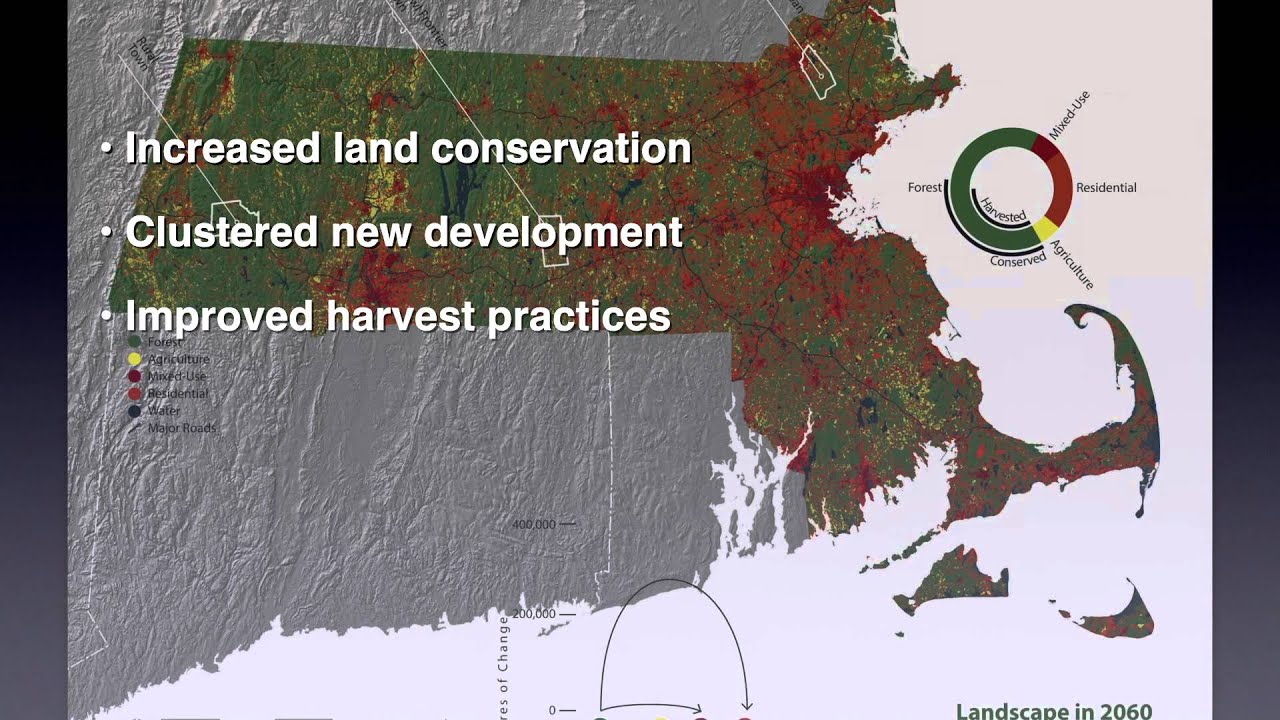 Open Letter on Proforestation, to the Massachusetts Executive Office of ...