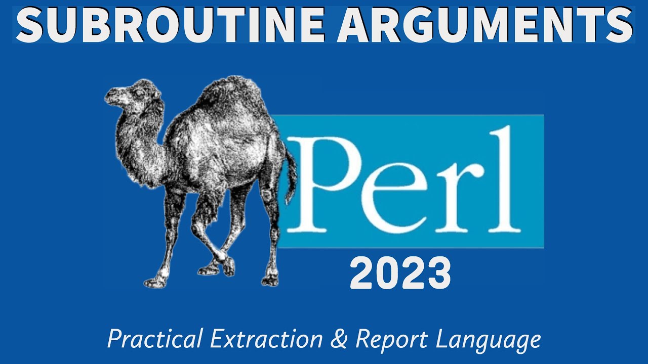 Perl Programming - Subroutine Arguments 2023
