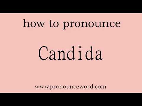 how to pronounce the english word Candida.
