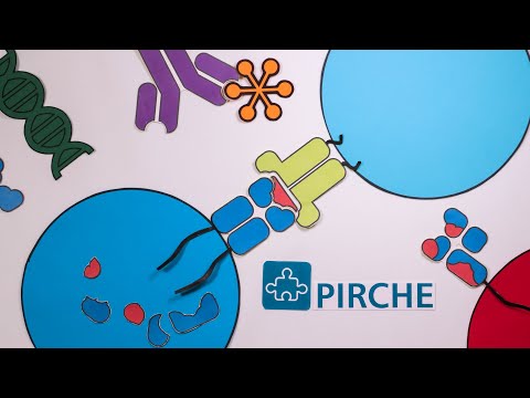 What is PIRCHE - A Brief Handcrafted Story
