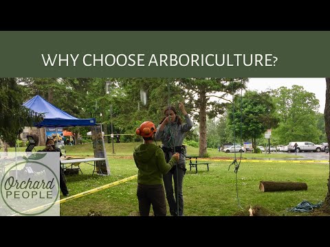 Why Become an ISA Arborist?