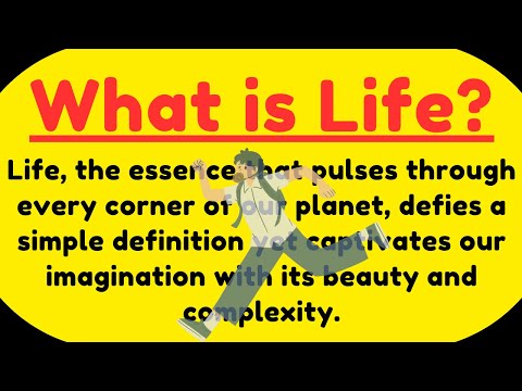 what is life essay