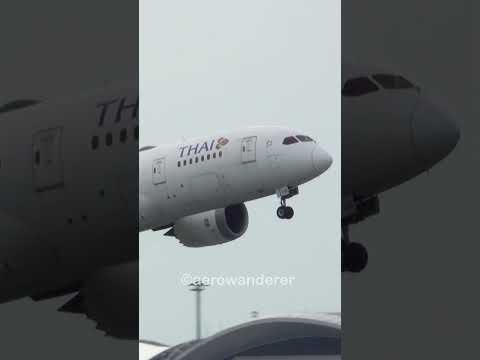 THAI AIRWAYS B787-8 takeoff at Bangkok Airport #shorts #aviation #b787 #takeoff #plane #bangkok