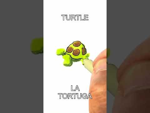 Learn Spanish! ¡Aprenda Inglés! TURTLE : LA TORTUGA