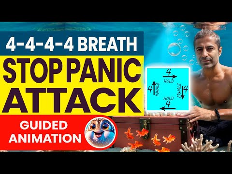 Guided Box Breathing for Focus and Clarity