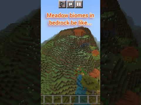 Meadow biomes in bedrock be like...