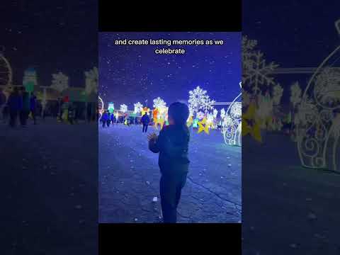 Largest Festival Lights California #sacramento #trending #youtubefeed #shortsfeed #youtubeshorts