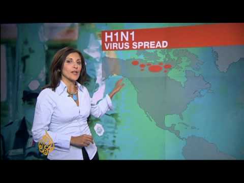 WHO declares H1N1 official flu pandemic - 11 Jun 09