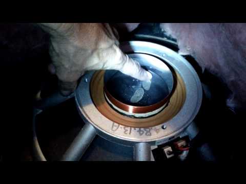 Peavey "Black Widow" Speaker - disassembled for removal of rotten foam residue (in a Pignose B100V)