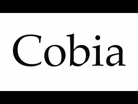 How to Pronounce Cobia