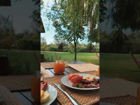 Green Village Resort - Delta Dunării | Romanian Voyage | AAG Voyage - Marketing Hotelier