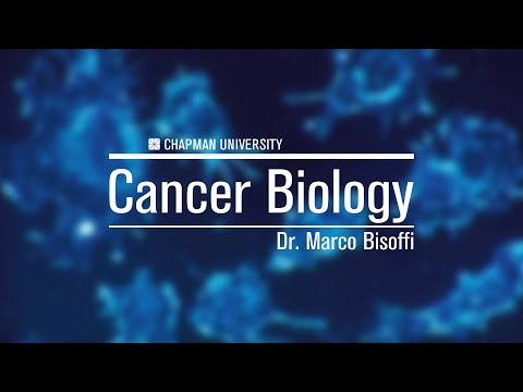 Dr. Marco Bisoffi – Cancer Biology