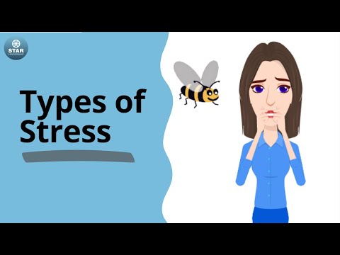 Types of Stress