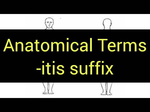 Anatomical terms use of -itis suffix
