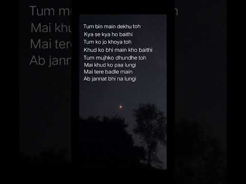 Tum bin main dekhu toh... 🦋🌼🍁 #song #lyrics #lovesong #music #songlyrics #sad