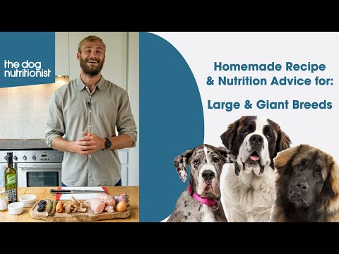 Large & Giant Dog Breeds - Balanced Homemade Dog Food by The Dog Nutritionist