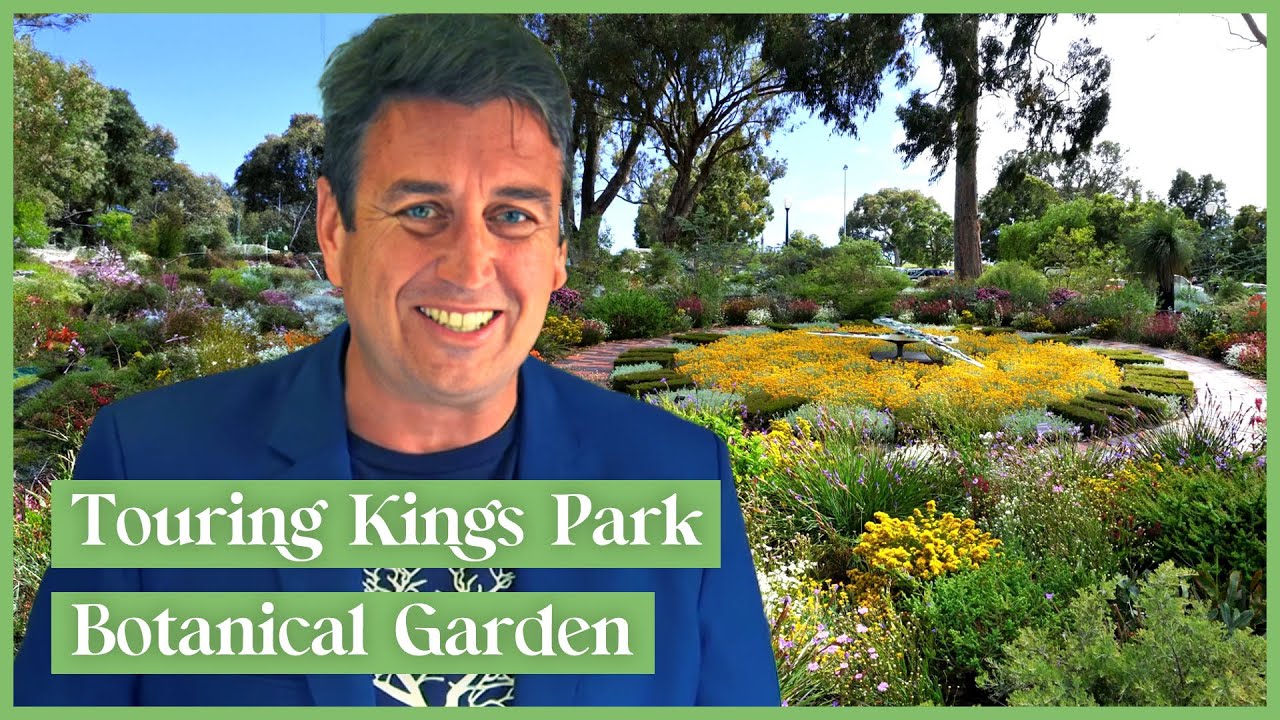 You Won't Believe This Botanical Garden Is Real! | Exclusive Tour
