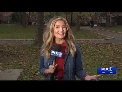 Brooklyn seniors fight for outdoor fitness center at NYCHA complex