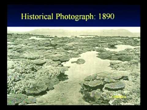 Terry Hughes - Anticipating ecological surprises: Managing reef resilience