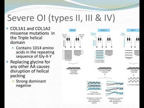 haploinsufficiency retrotransposition dominant negative mutations position effect inversion