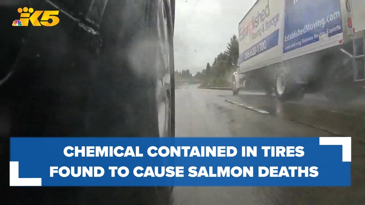 Chemical contained in tires found to be responsible for salmon deaths