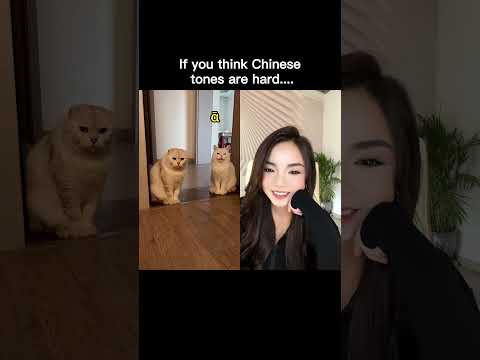 Learn Chinese Tones With Cats: Meow Your Way to Fluency