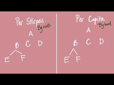 Per Stirpes vs Per Capita