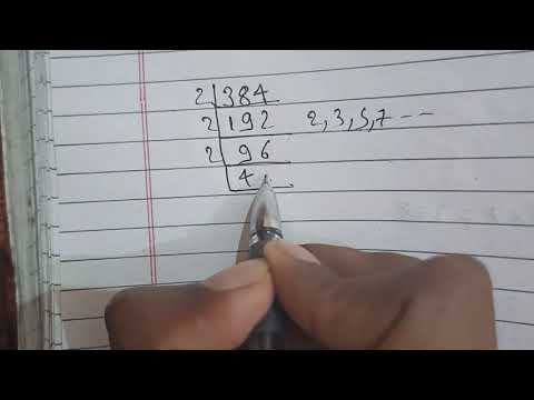 prime factors of 384