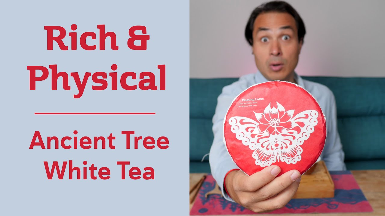 Gorgeous Yunnan White Tea from Ancient Trees - FLOATING LOTUS