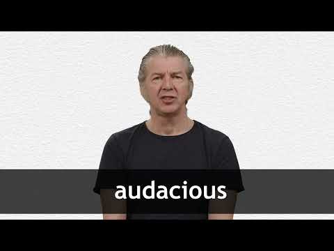 Audacious Definition