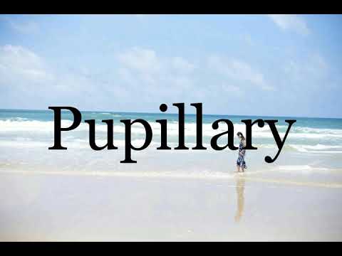 How To Pronounce Pupillary🌈🌈🌈🌈🌈🌈Pronunciation Of Pupillary