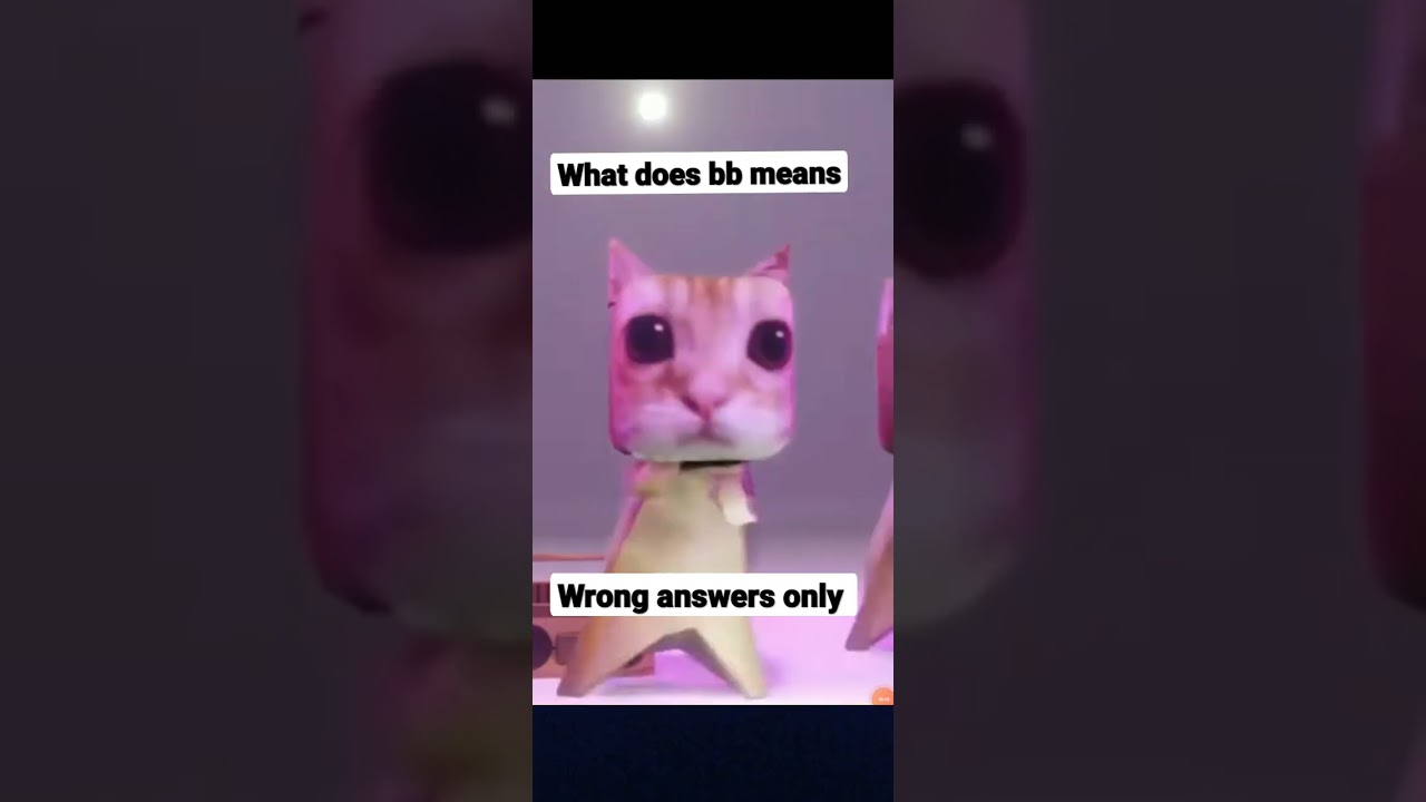 wHaT dO bB mEaN