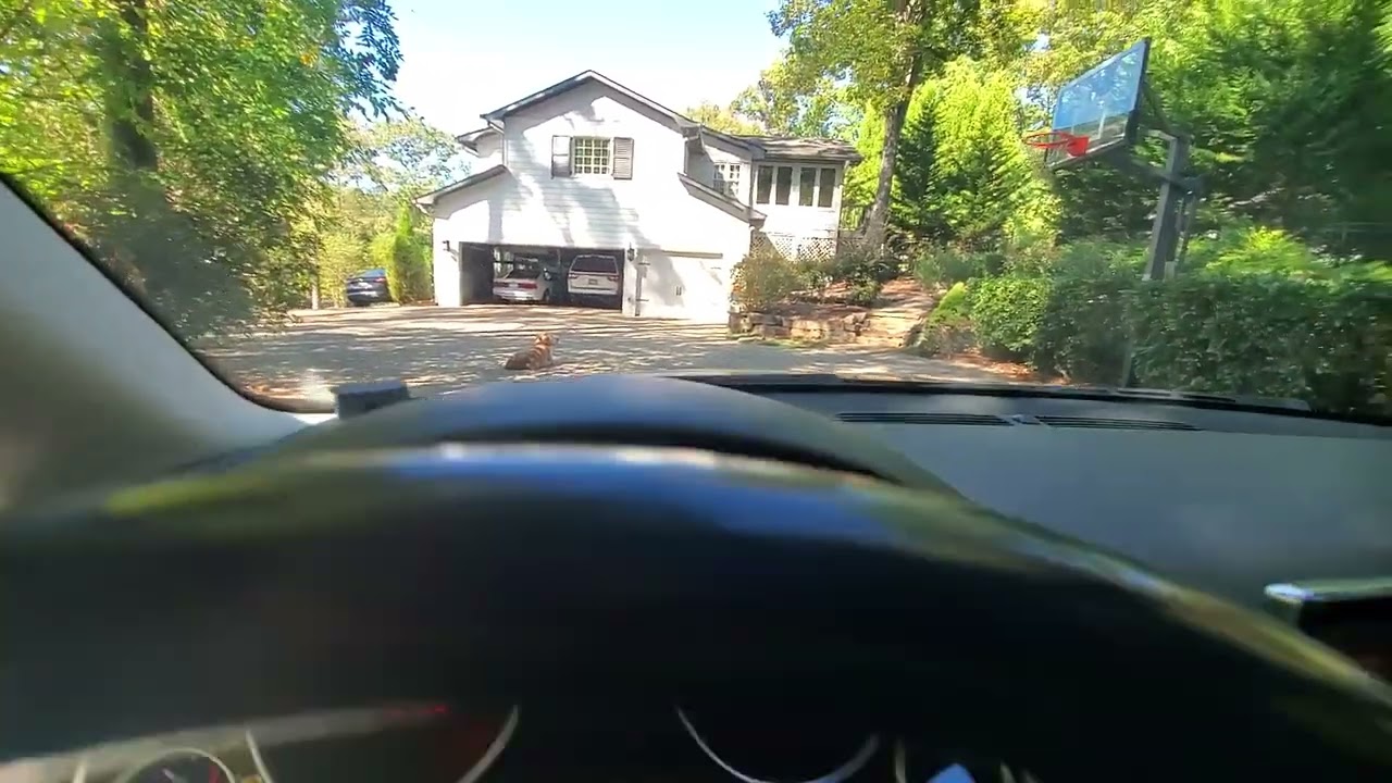 dashboard and MMI 2009 Audi A8L