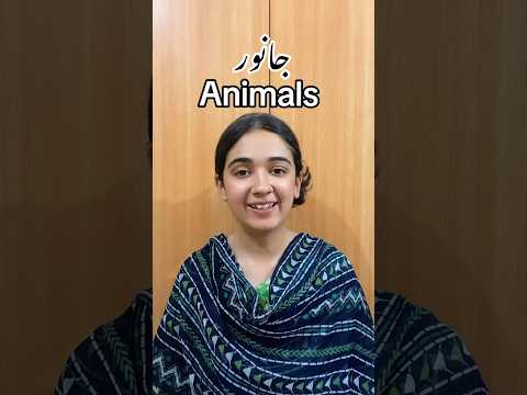 Names of Animals in Urdu Part 1 ( Beginner’s level )