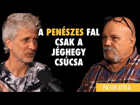 Beteg, mérgező lakásokban élünk? - Pácser Attila