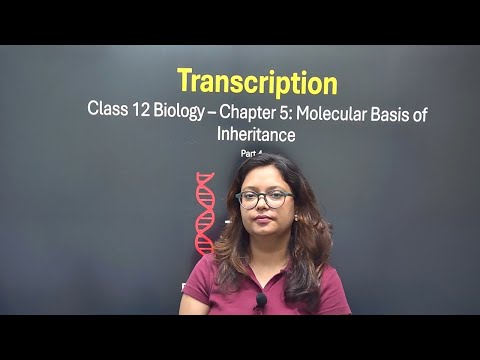 Transcription - Chapter 5| Class 12 Biology| Molecular Basis of Inheritance | Part 4 | CBSE NEET