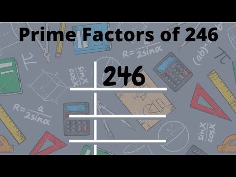 Prime Factors of 246